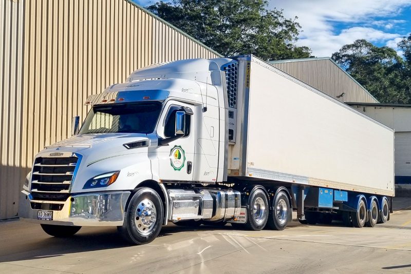 Mavin Truck Centre Mercedes Freightliner Trucks – Mercedes Freightliner ...